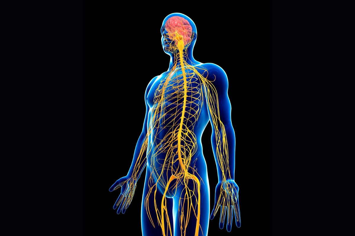 Allodinia: l’alterazione della sensibilità | Studio Fisicamente